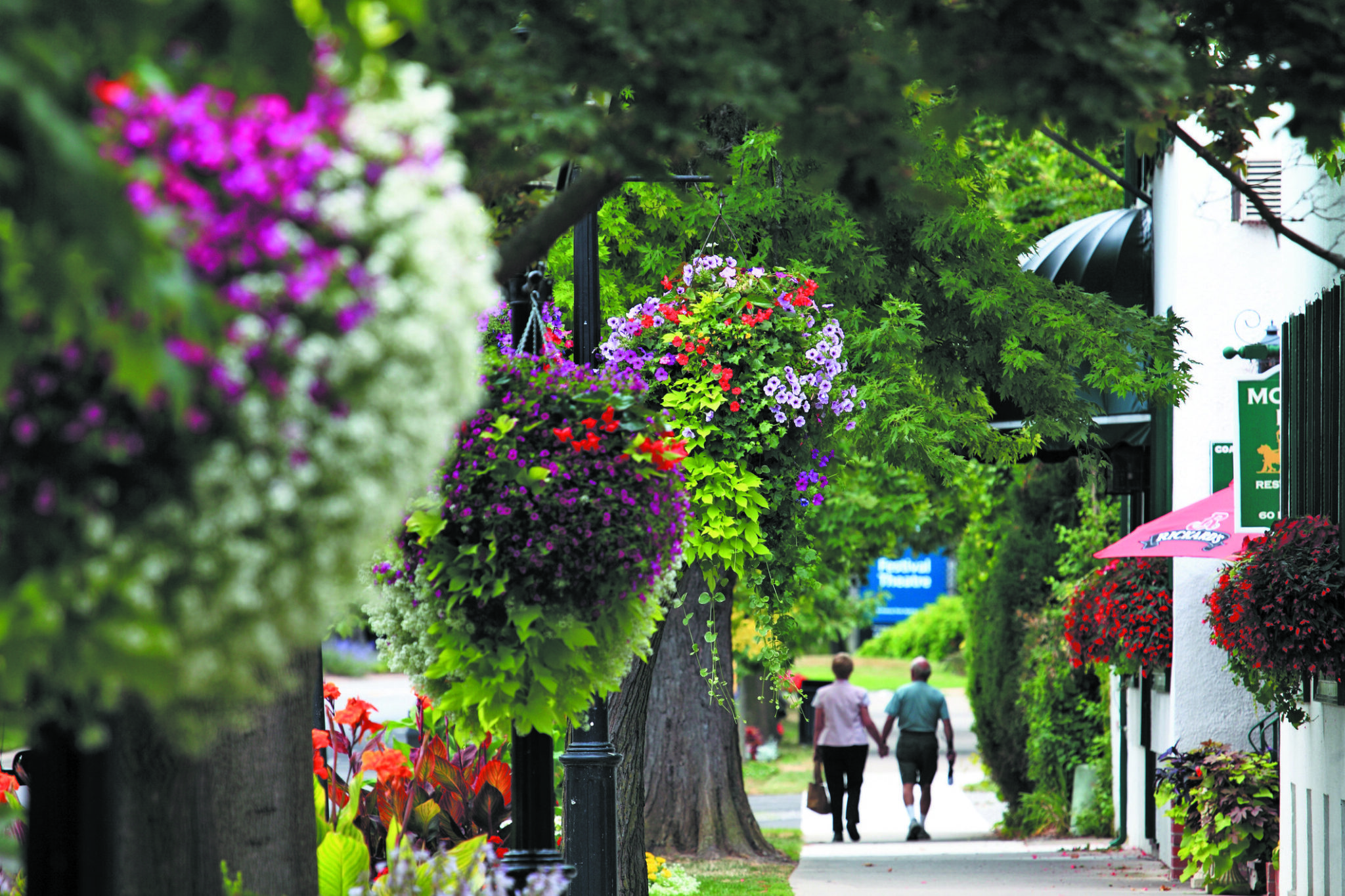 Plan Your Trip North - Bottom Line, Inc.