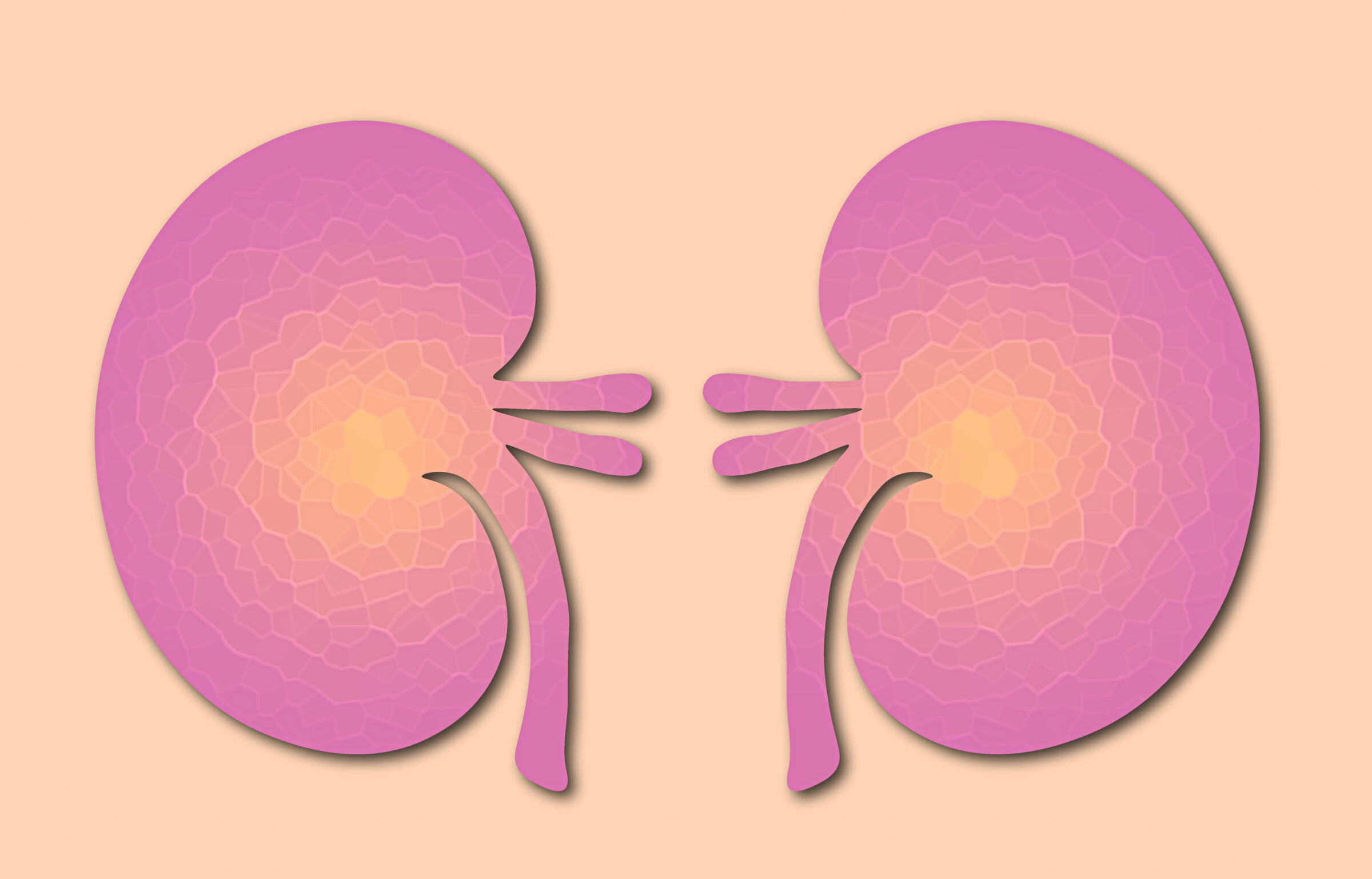 How to Improve Kidney Function - Bottom Line, Inc.