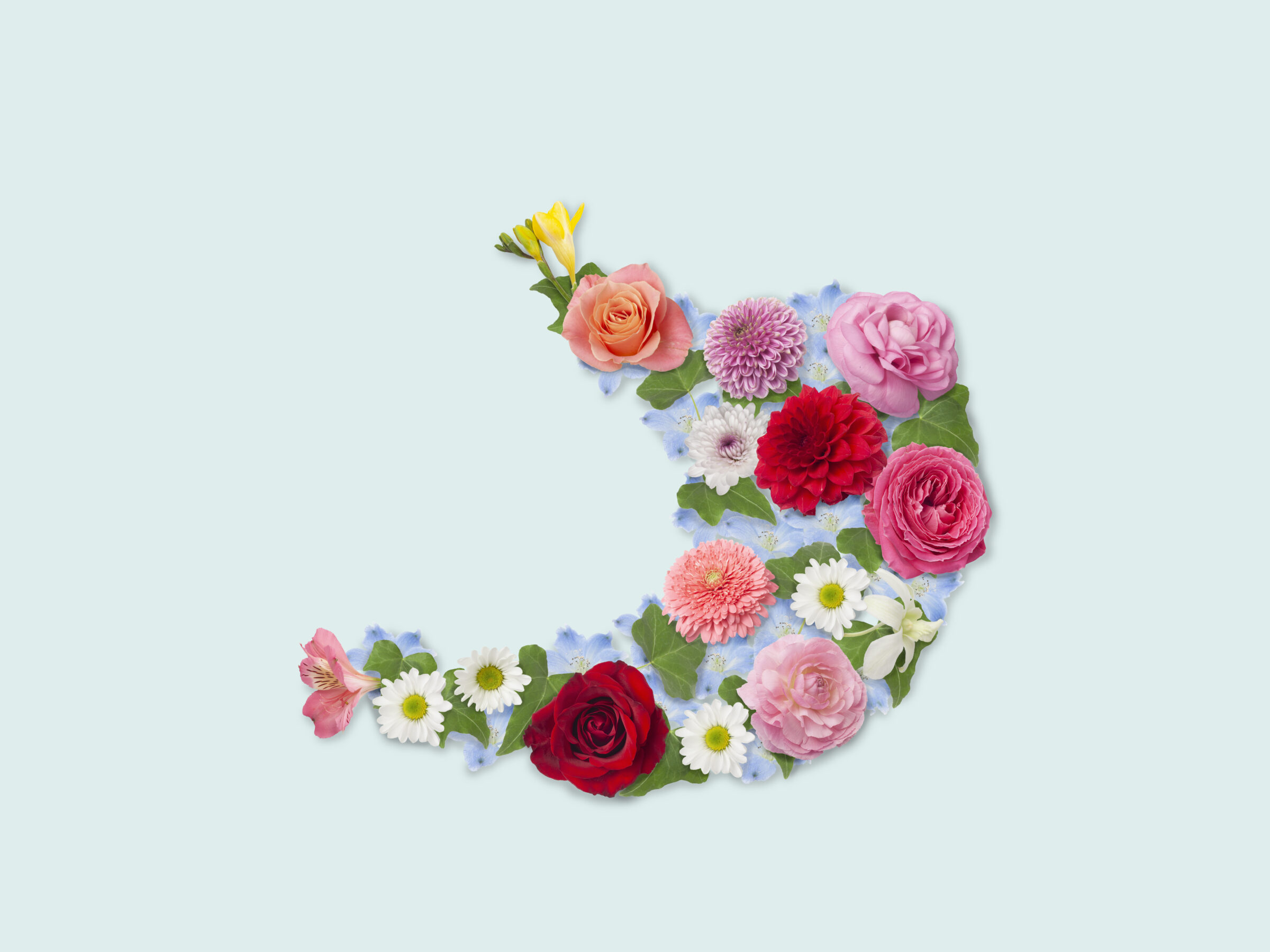 What Are Digestive Enzymes and How Do They Work? - Bottom Line, Inc.